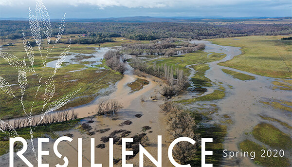 Resilience - Spring 2020 - Mulloon Institute