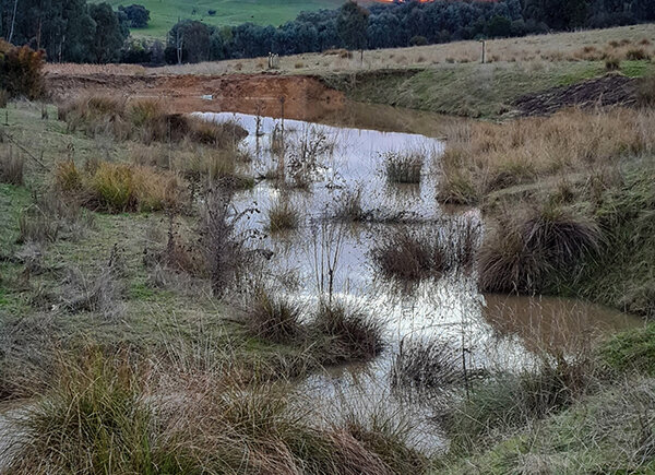 Slate Hill Leaky Weir Project - Mulloon Institute