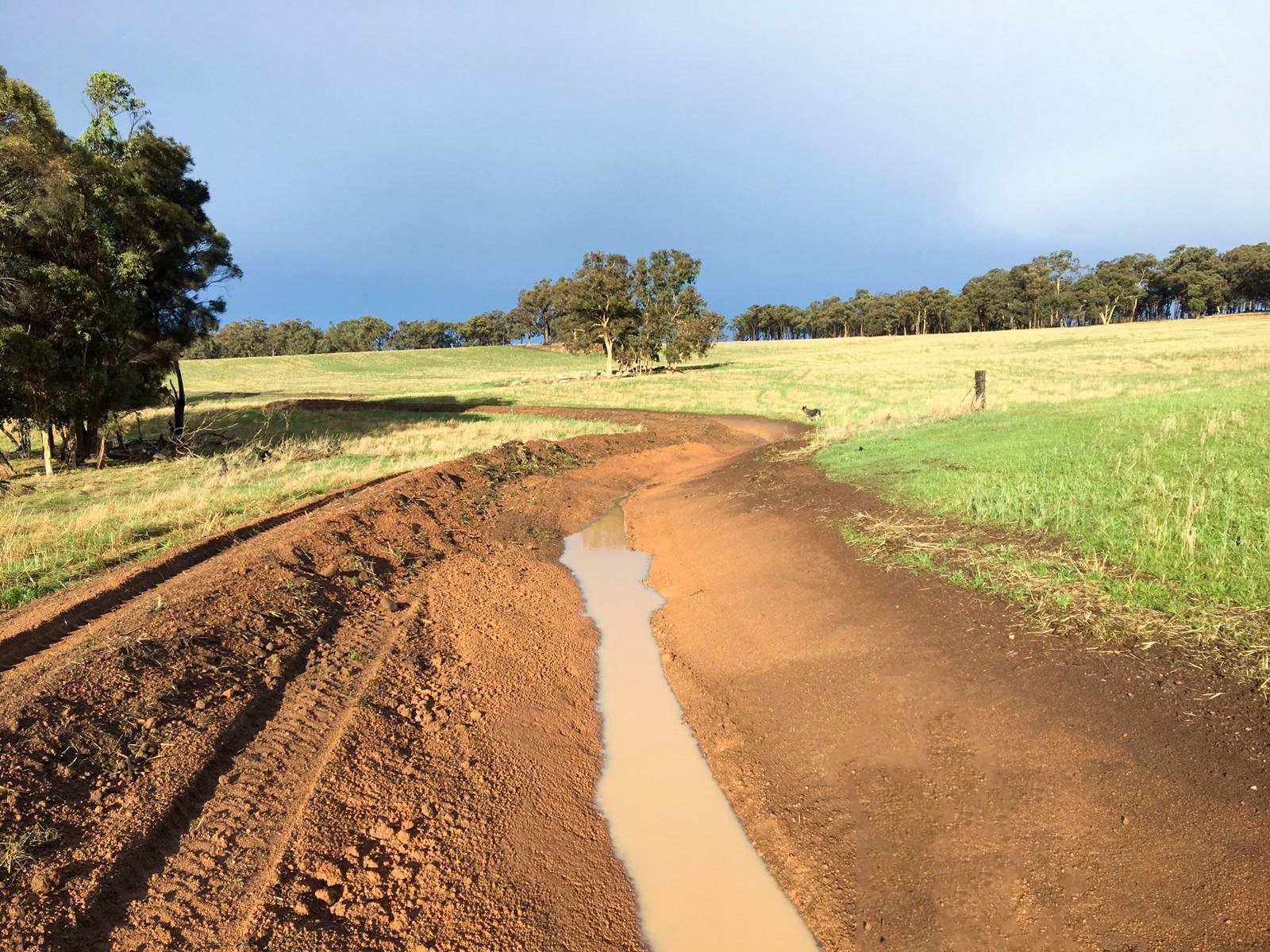 Warren's tackling salinity with natural sequence farming - WA - Mulloon ...
