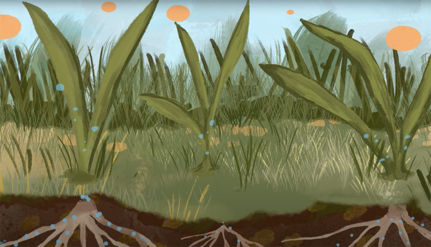 Water as you’ve never seen it before – our brand new animation series ...