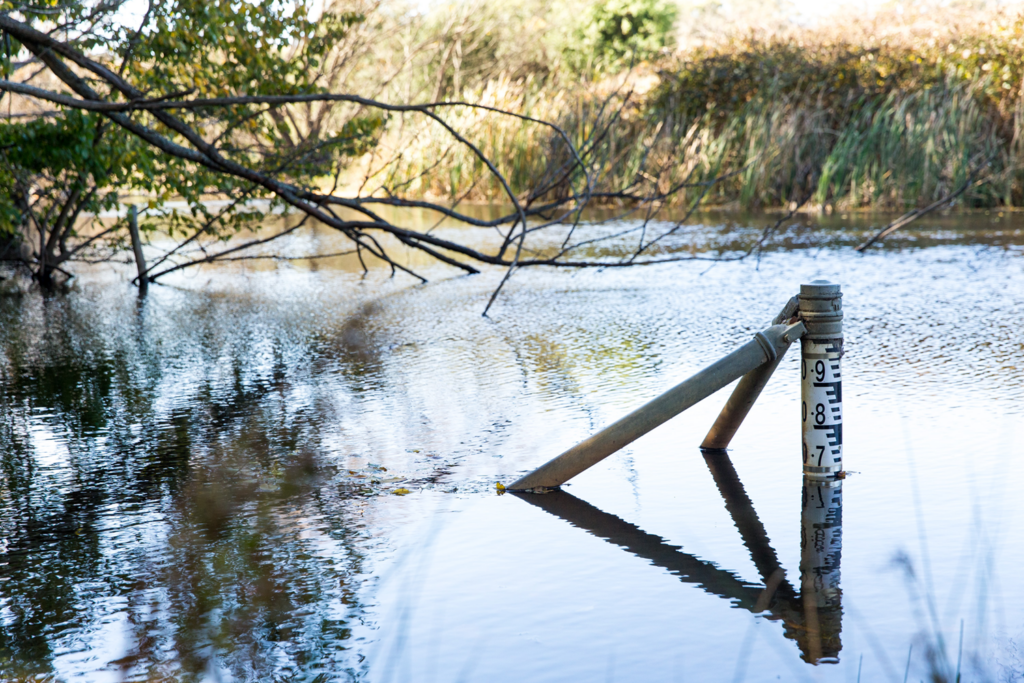 Mulloon Rehydration Initiative update - Mulloon Institute