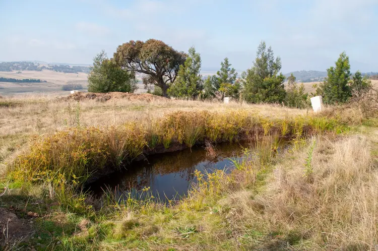 Mulloon Rehydration Initiative - Mulloon Institute