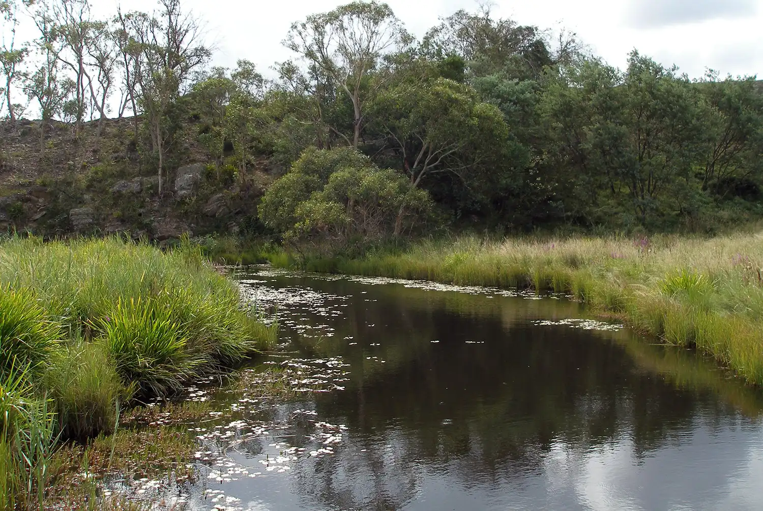 Water Stewardship Program - Mulloon Institute